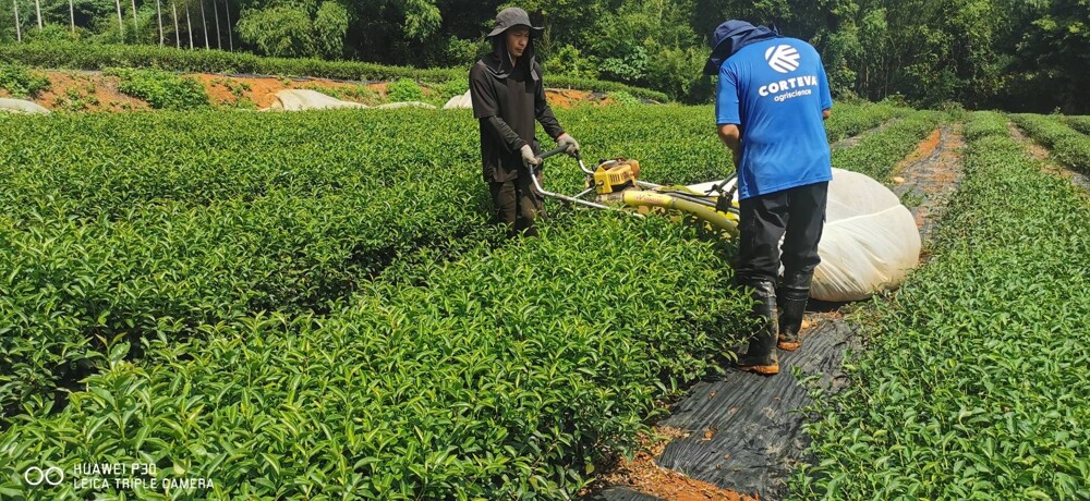[JENPIN饌] 蜜香紅茶 110克裝禮盒提袋組 － 松果購物