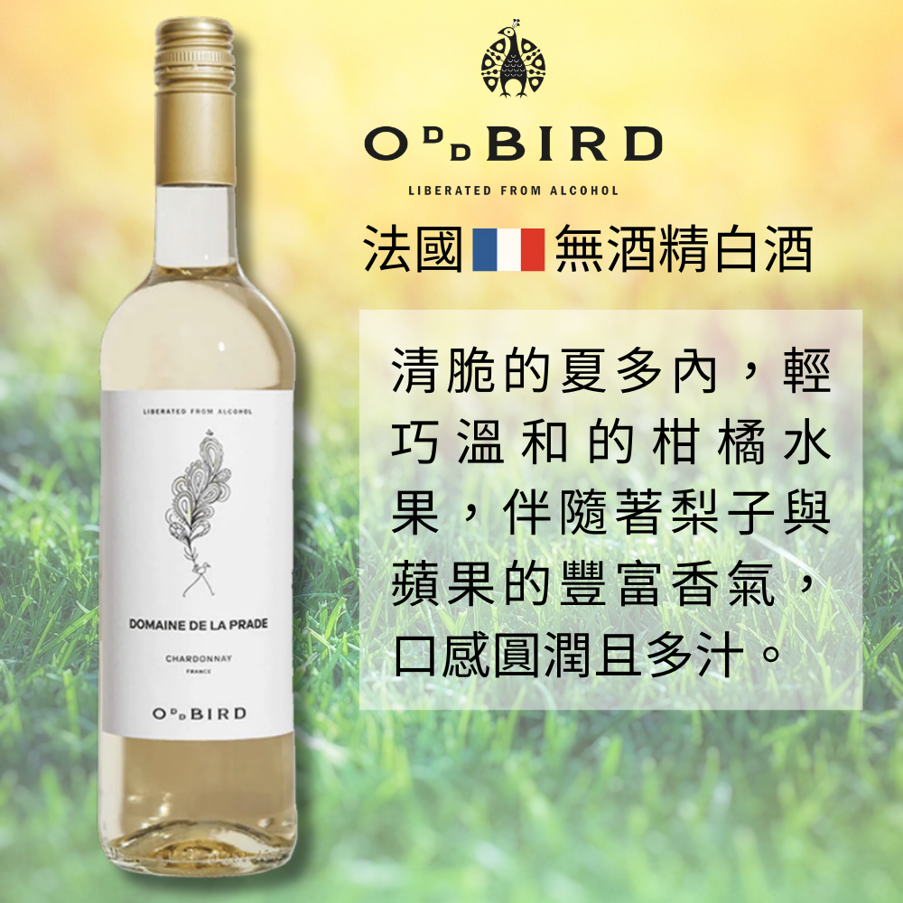 【無酒精白酒】法國 Oddbird 非鳥普拉達夏多內 750mL/瓶 － 松果購物