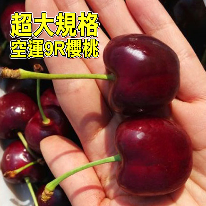 【台灣紅】超大規格西北櫻桃(9R/1KG/盒) － 松果購物